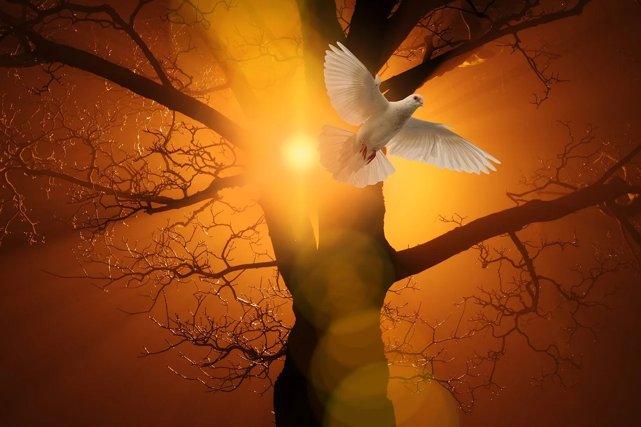 The Holy Spirit Helps Us in Prayer – Feast of light