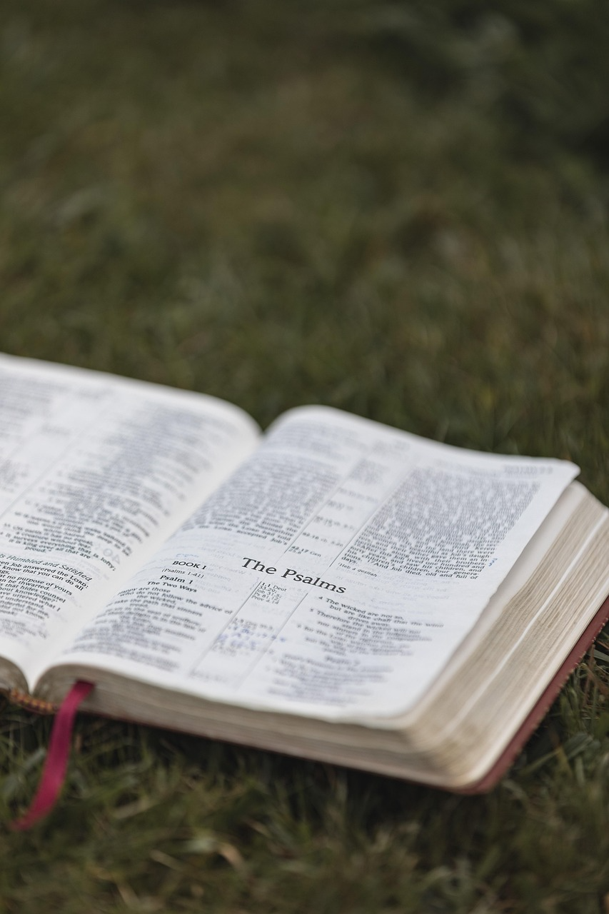 Freely you have received; freely give (1) – Feast of light